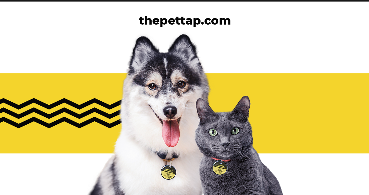 Pet Tap Tags for Dogs and Cats | The Pet Tap